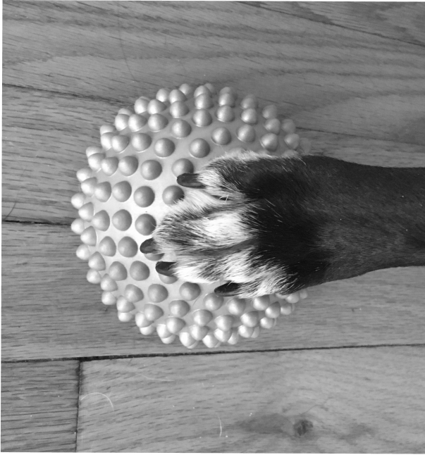 Yamuna Foot Fitness Restores Feet • Dianne Glass